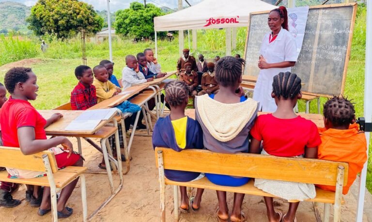 Manica quer expansão do ensino bilingue - Portal Afroline